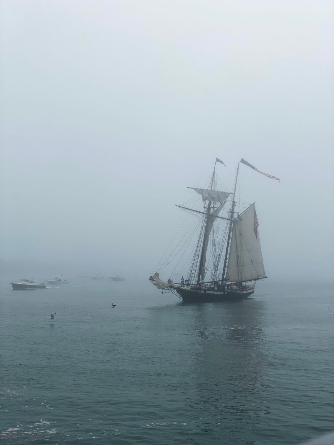 Foggy Nantucket Harbor, MA | Cape Cod Print | Photo Gift | Cape Cod ...