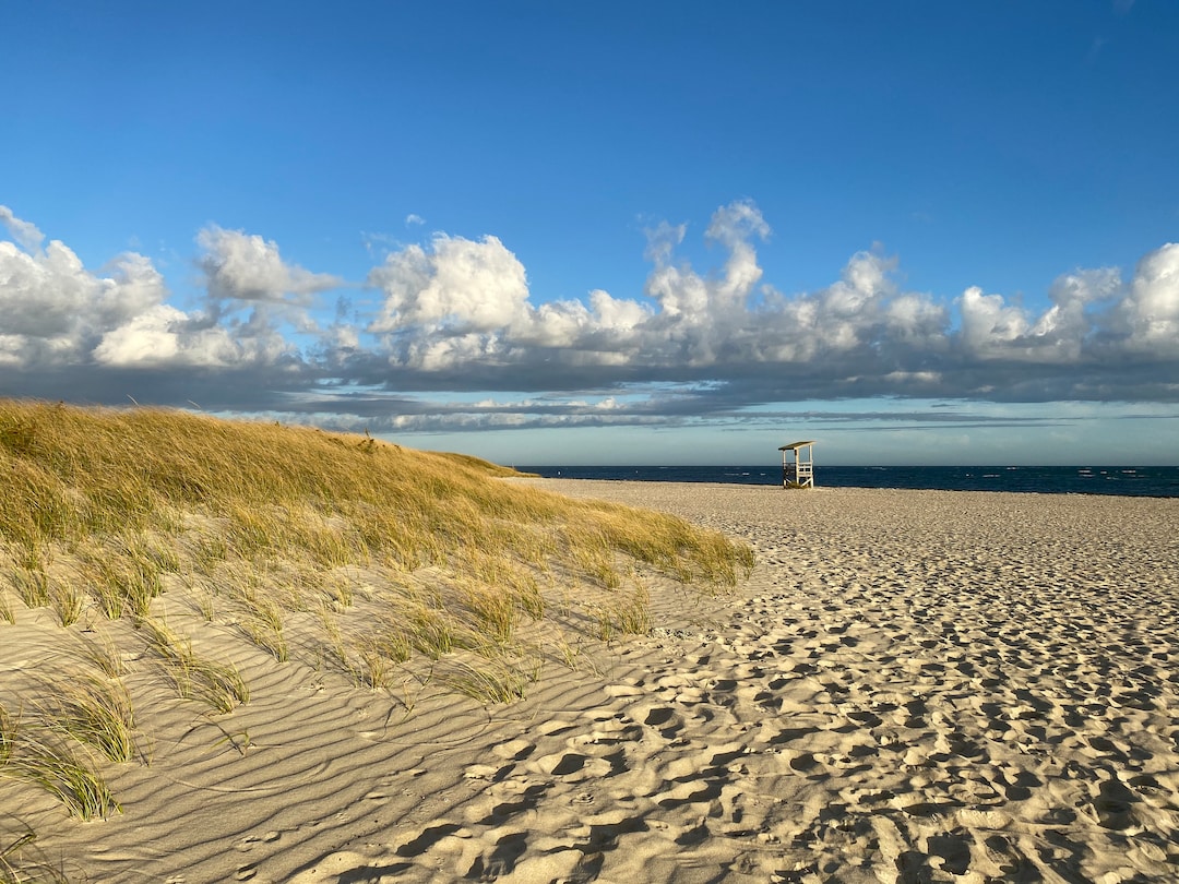 Seagull Beach Textures, Yarmouth, MA | Cape Cod Print | Photo Gift ...