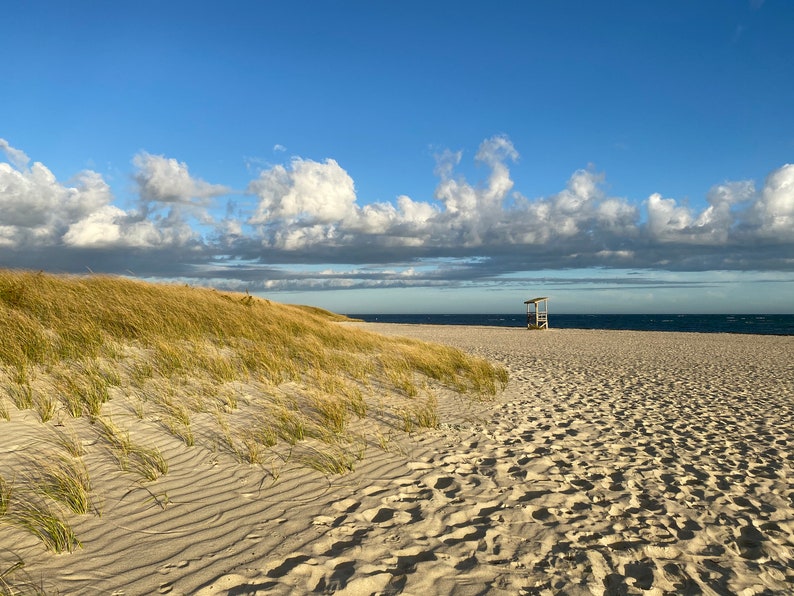 Seagull Beach Textures, Yarmouth, MA Cape Cod Print Photo Gift Cape Cod ...