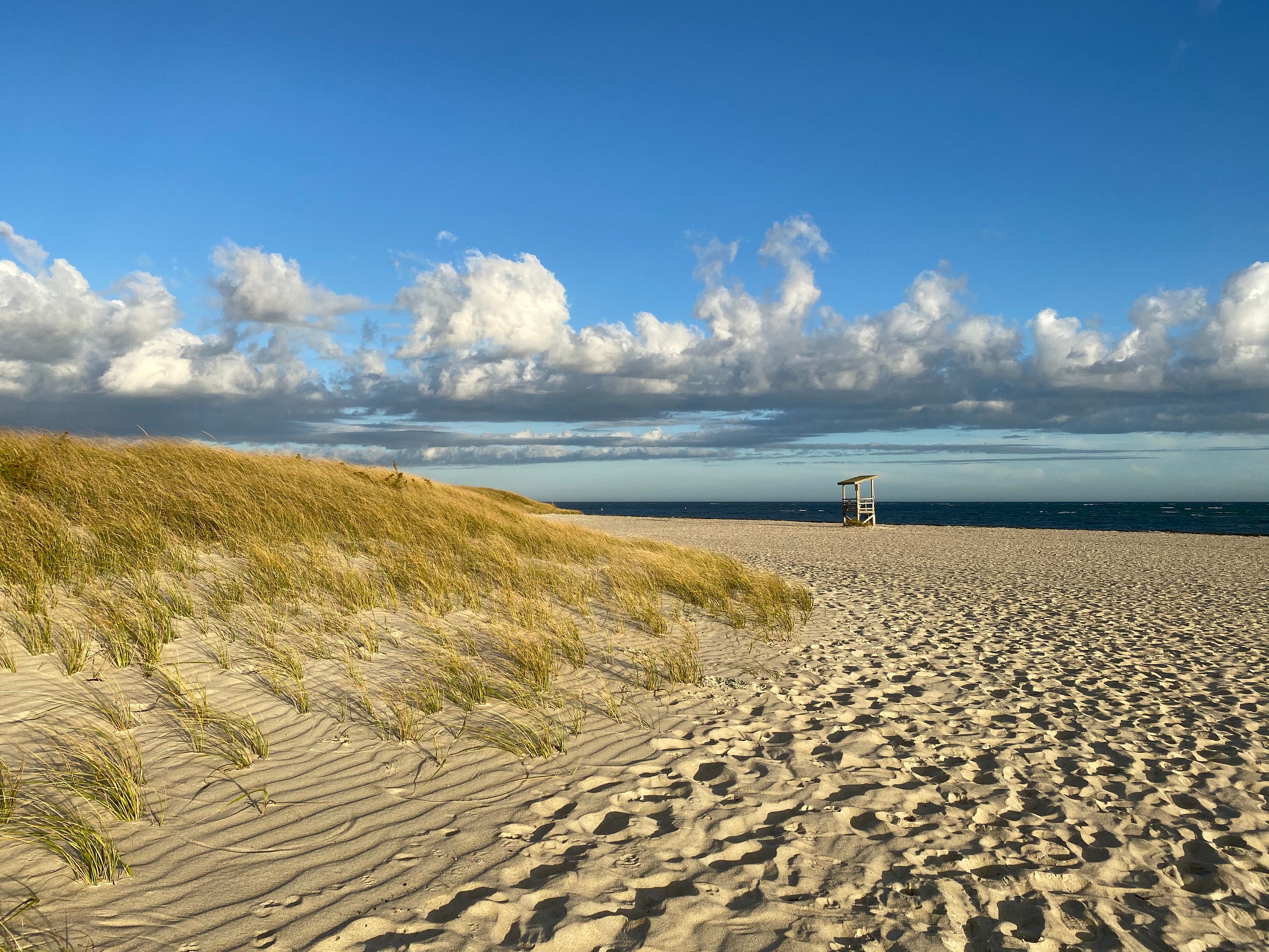 Seagull Beach Textures, Yarmouth, MA | Cape Cod Print | Photo Gift ...