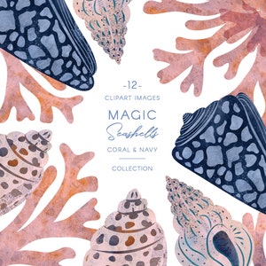 Summer Seashells Clip Art, Coral & Navy Watercolor, Nautical ...