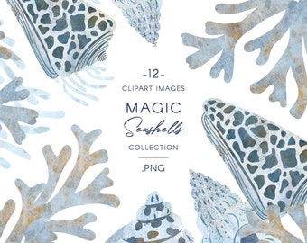 Blue Seashells Clip Art, Watercolor Ocean Shells, Stars & Corals ...