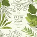 Watercolor Herbs Clipart, Green Line Art & Botanical Illustrations ...