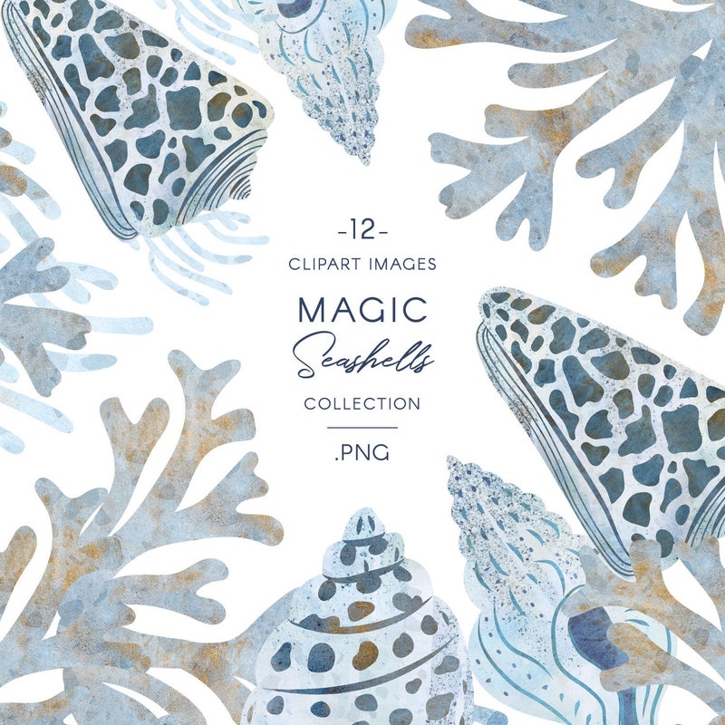 Blue Seashells - Etsy