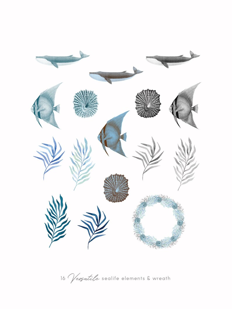 Blue Fish & Sea Life Clip Art Set, Vintage Marine Illustrations ...