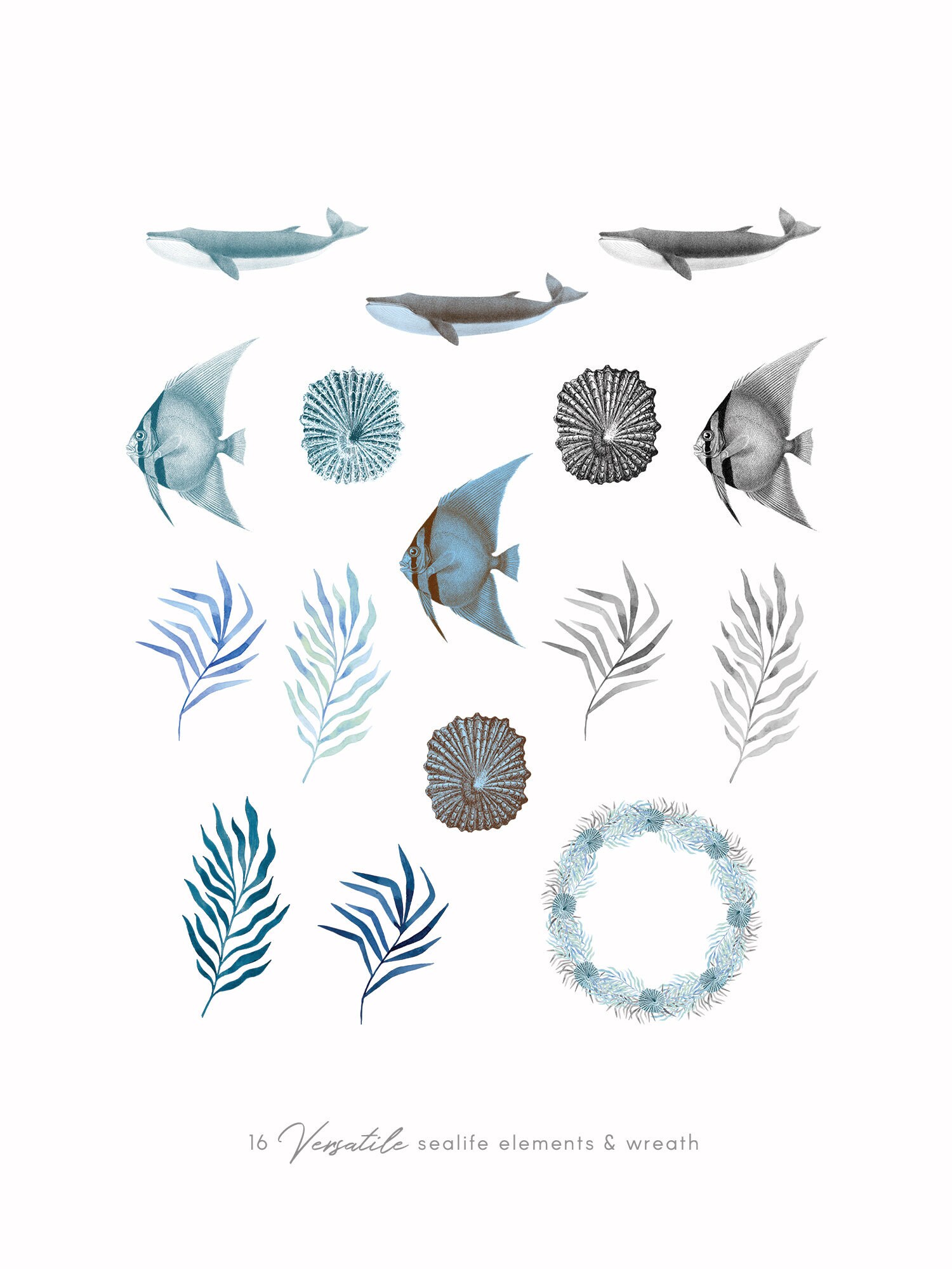 Blue Fish & Sea Life Clip Art Set, Vintage Marine Illustrations ...