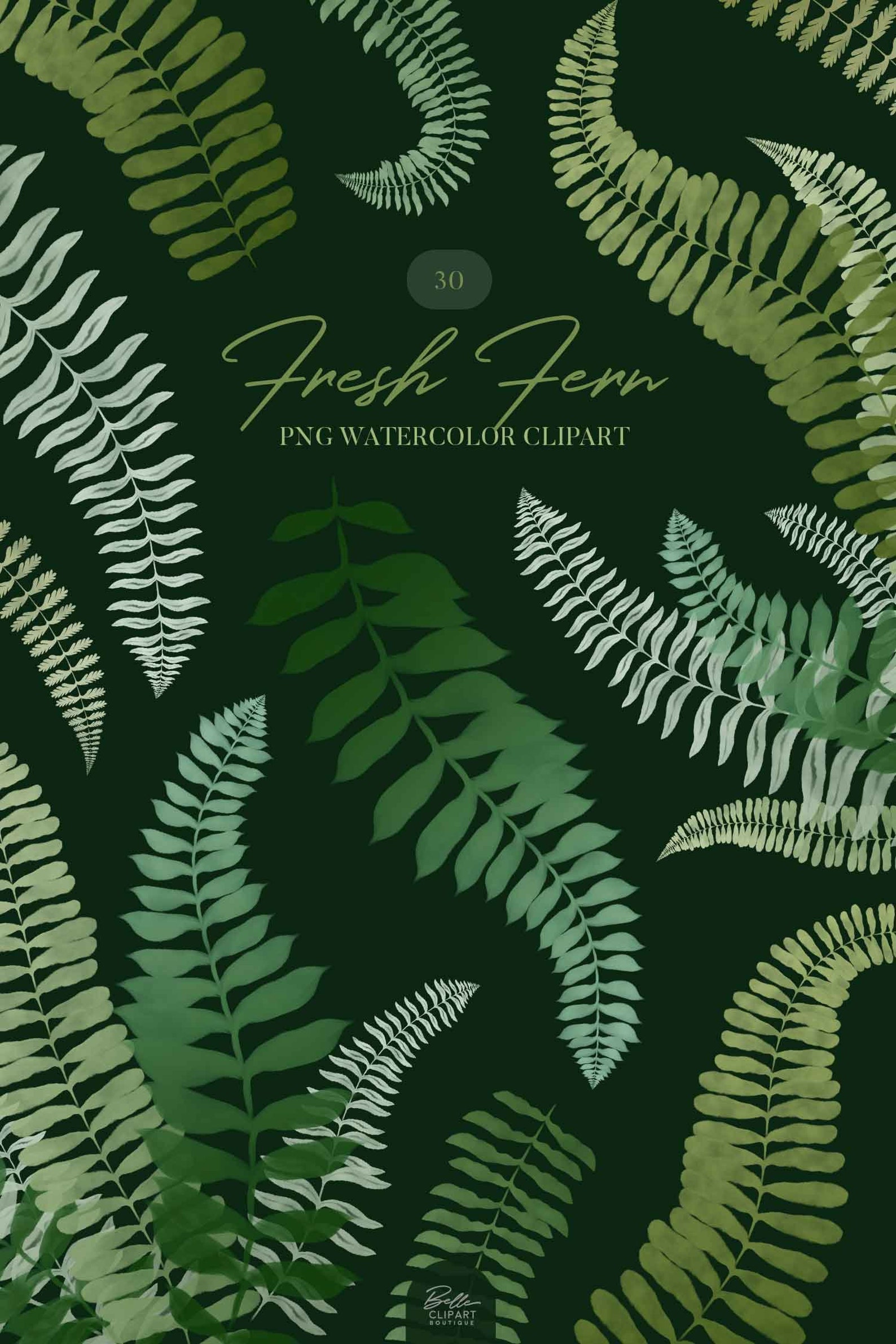Watercolor Fern Greenery PNG Clip Art, Green Plant Illustration - Etsy