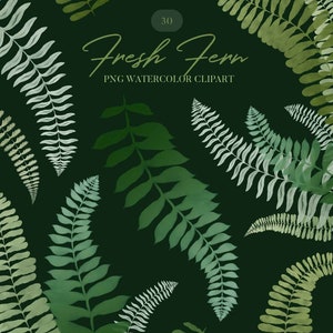 Watercolor Fern Greenery PNG Clip Art, Green Plant Illustration - Etsy