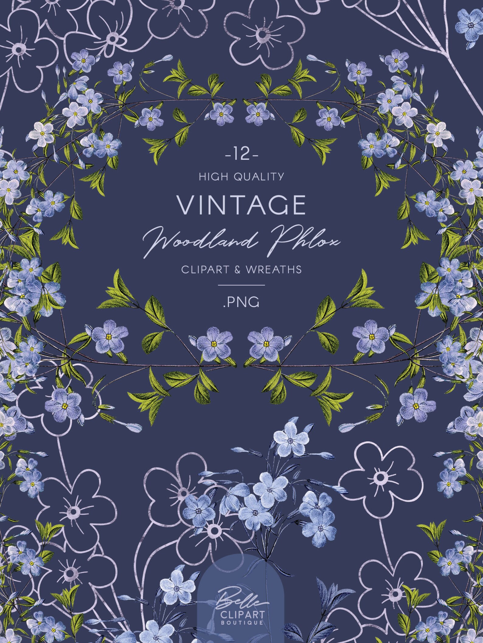 Vintage Blue Flower Clip Art Set, Woodland Phlox Florals and Line Art ...