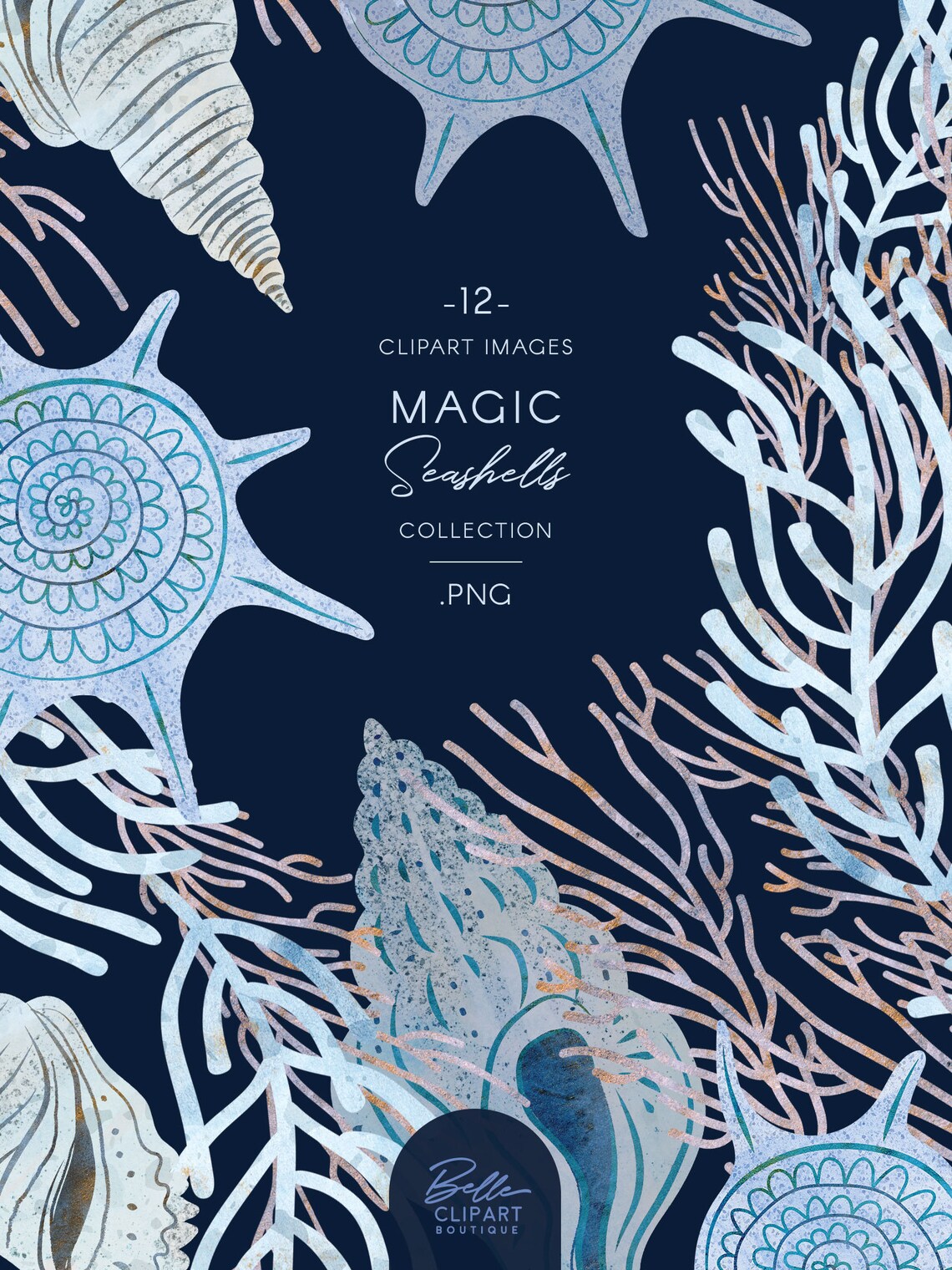 Light Blue Seashells Clip Art Watercolor Ocean Illustrations - Etsy Canada