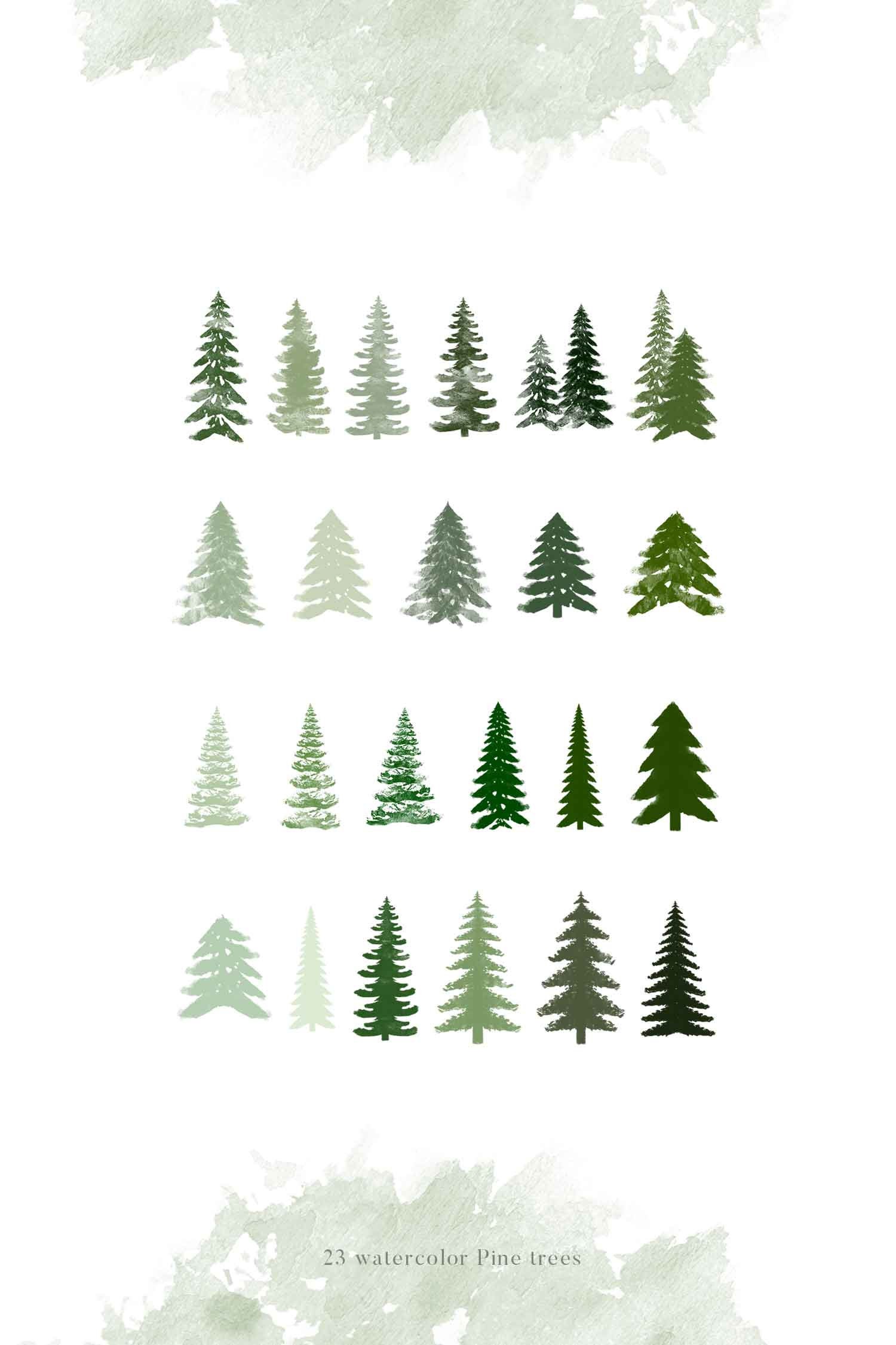 Watercolor Forest Pine Trees Clipart Set PNG Alpine Woodland - Etsy