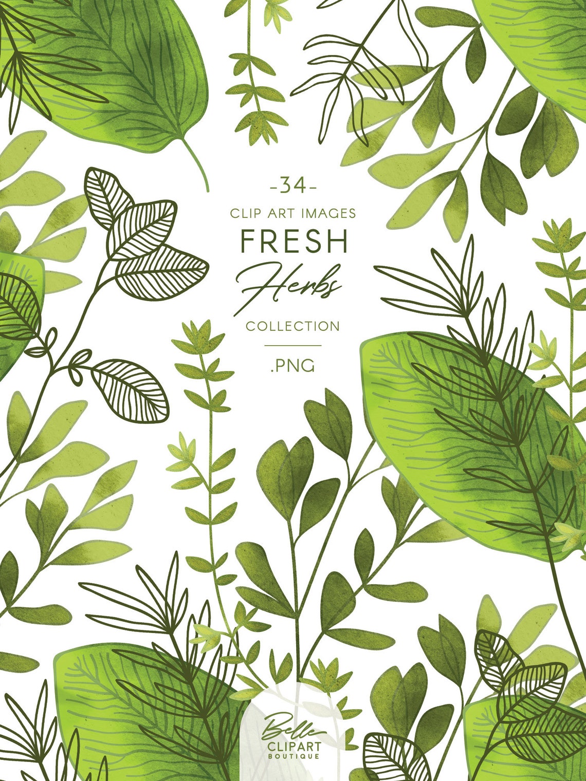 Watercolor Herbs Clipart, Green Line Art & Botanical Illustrations ...
