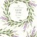 Sage Flowers & Foliage Clip Art, PNG Botanical Gouache Illustrations - Etsy