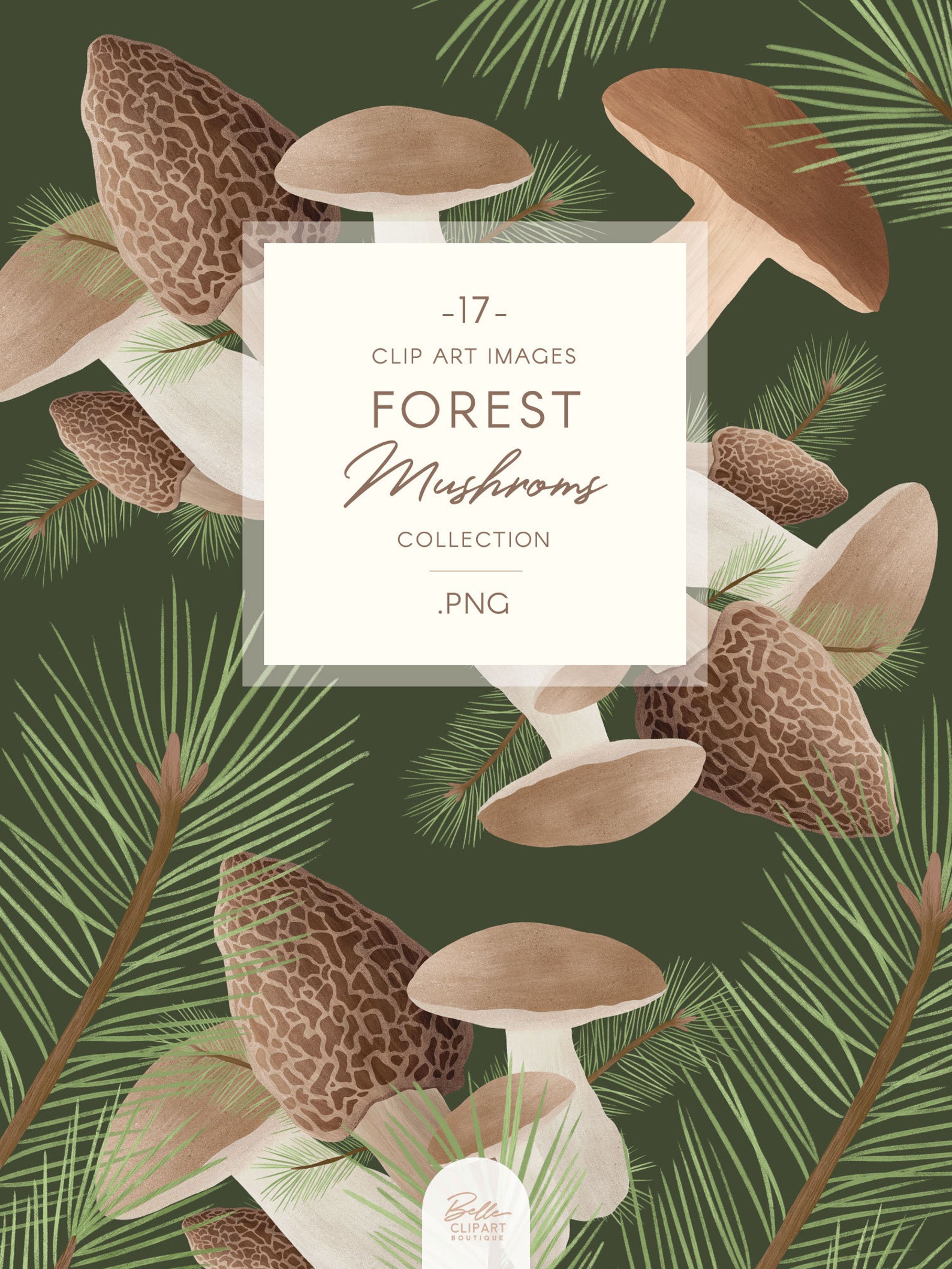 Forest Mushroom Clip Art, Watercolor Fungi PNG, Mushrooms Illustration ...