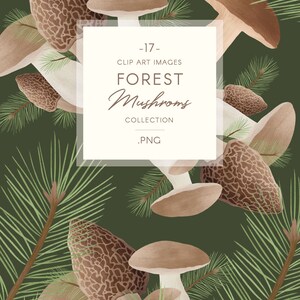 Forest Mushroom Clip Art, Watercolor Fungi PNG, Mushrooms Illustration ...