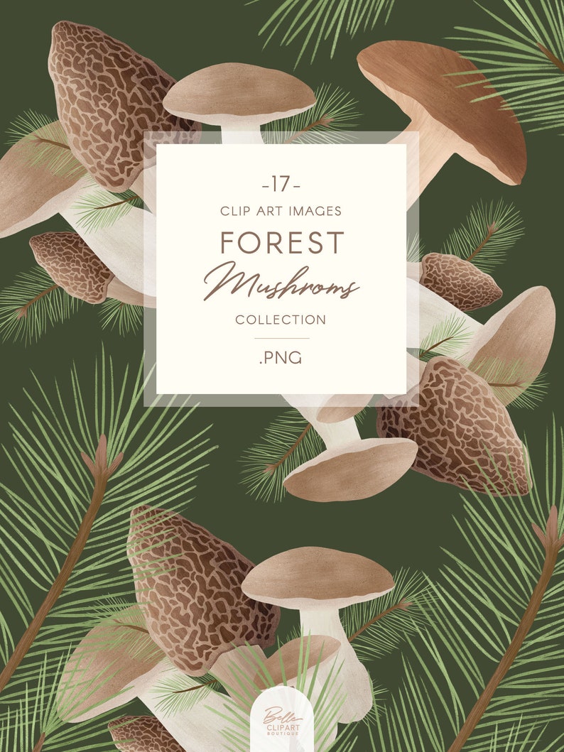 Forest Mushroom Clip Art Watercolor Fungi PNG Mushrooms - Etsy