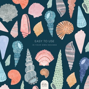 Seashells Clip Art, PNG Cute Watercolor Sealife Illustrations in Pastel ...