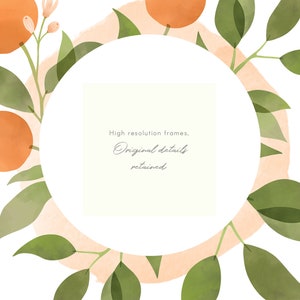 Orange Fruits Circle Frame Clip Art, Simple Watercolor Illustration ...