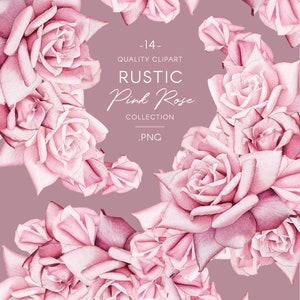Rustic Roses Clipart, Pink Wedding Flowers, Vintage Illustration - Etsy