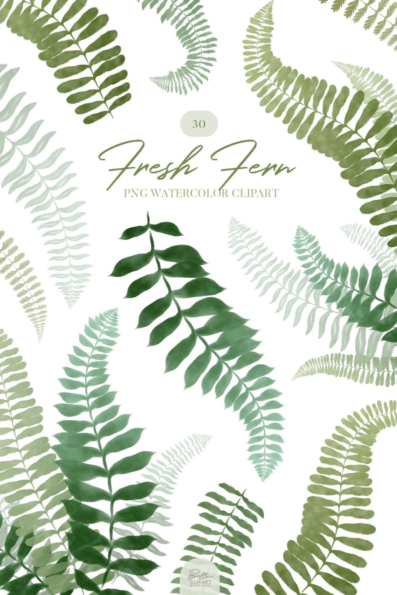 Watercolor Fern Greenery PNG Clip Art, Green Plant Illustration - Etsy
