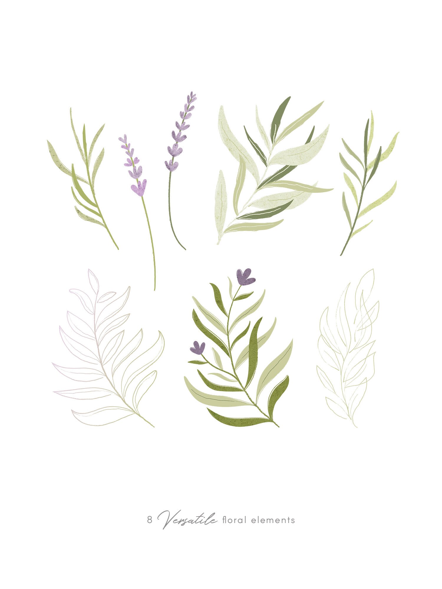 Lavender flower clip art set Lilac florals leaf line art & | Etsy