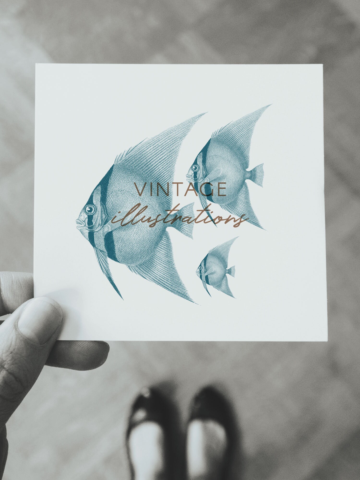 Blue Fish & Sea Life Clip Art Set, Vintage Marine Illustrations ...