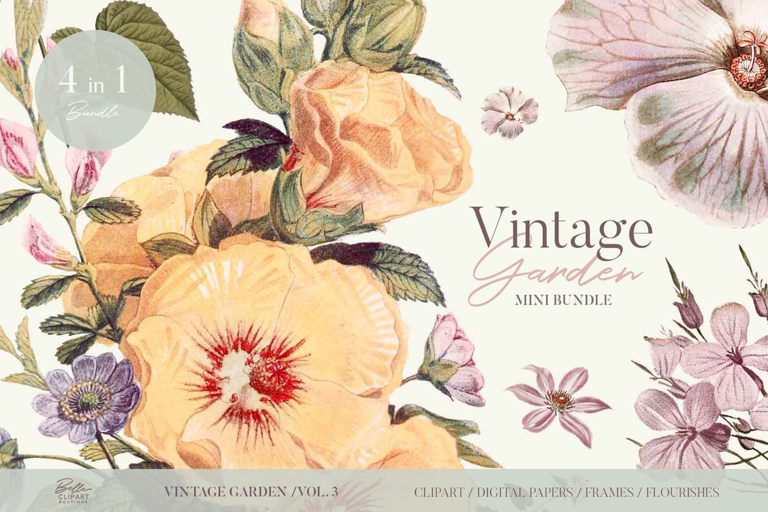 Vintage Flowers Clipart Bundle, PNG Botanical Illustration Flourishes ...