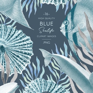 Blue Fish & Sea Life Clip Art Set, Vintage Marine Illustrations ...