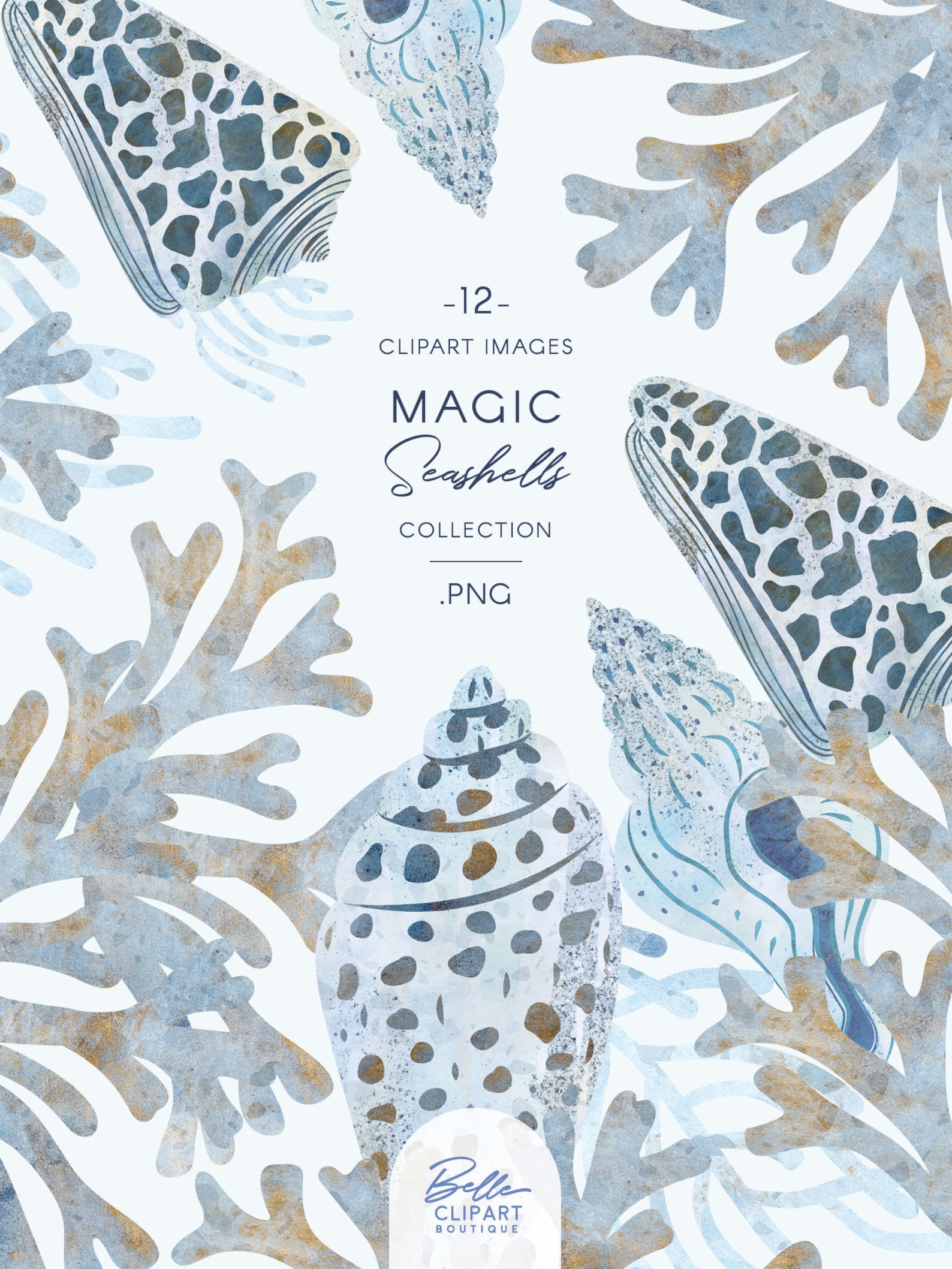Light Blue Seashells Clip Art Watercolor Ocean Illustrations - Etsy Canada