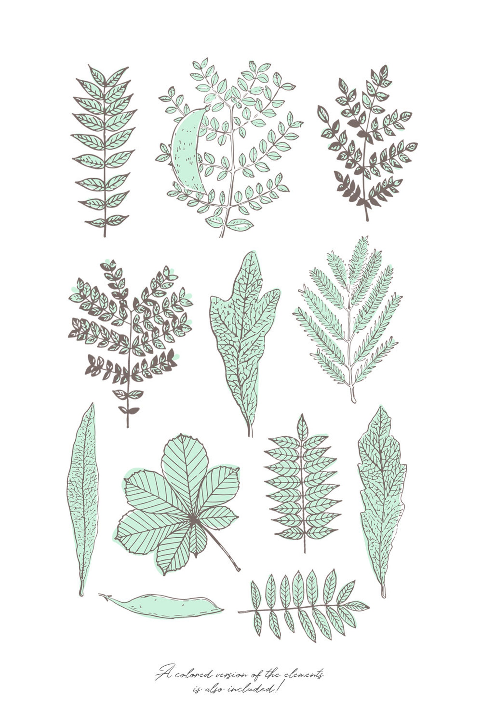 Delicate Botanical Clipart Greenery Line Art & Foliage Frame - Etsy