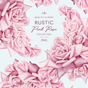 Rustic Roses Clipart, Pink Wedding Flowers, Vintage Illustration - Etsy
