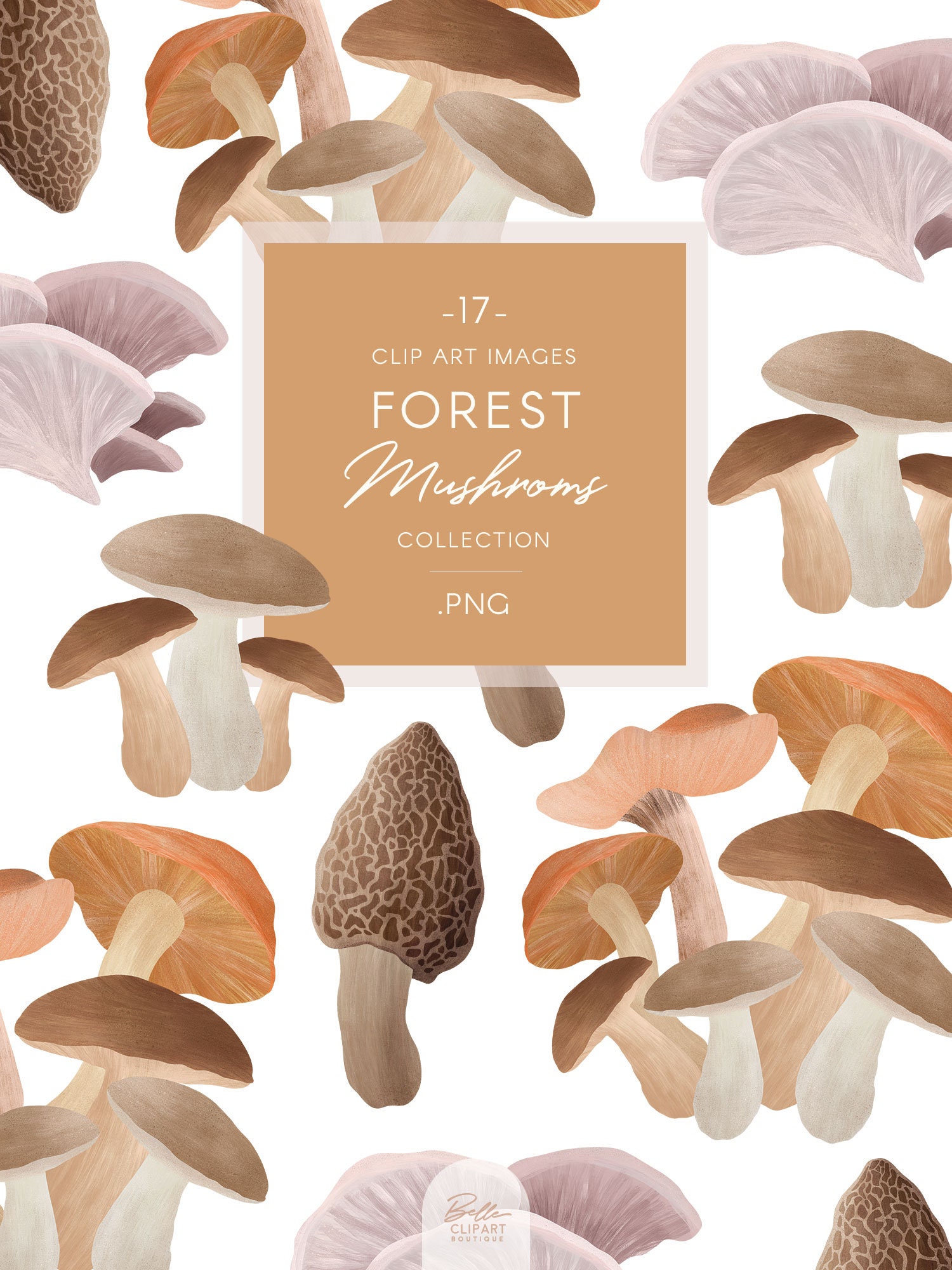 Forest Mushroom Clip Art Watercolor Fungi PNG Mushrooms - Etsy