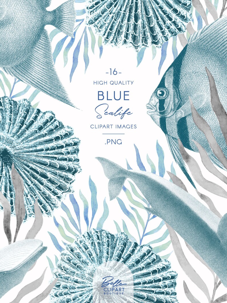 Blue fish & sea life clip art set vintage marine | Etsy