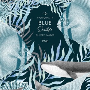 Blue Fish & Sea Life Clip Art Set, Vintage Marine Illustrations ...