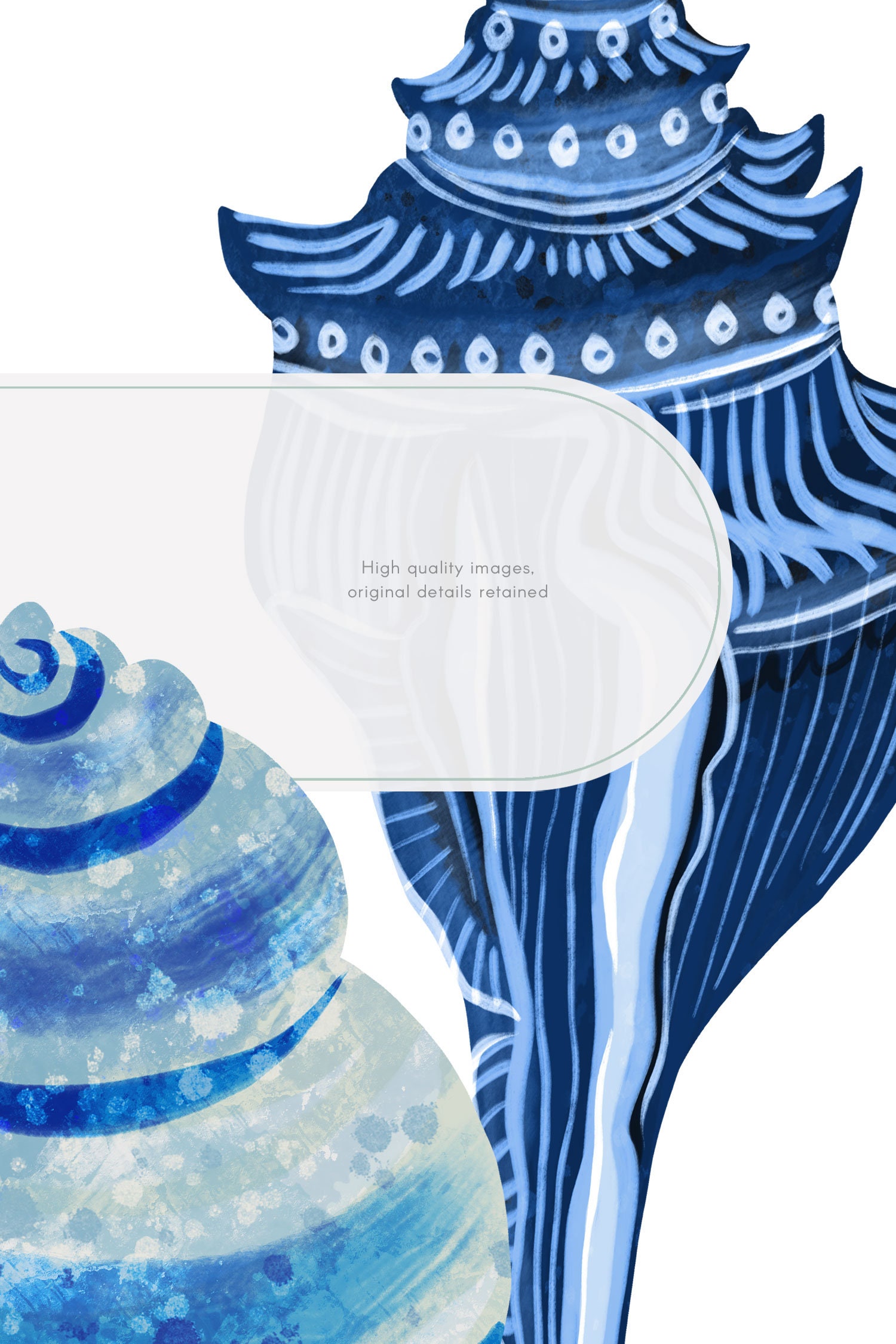 Blue Seashells Clip Art, Watercolor Ocean Shells, Stars & Corals ...