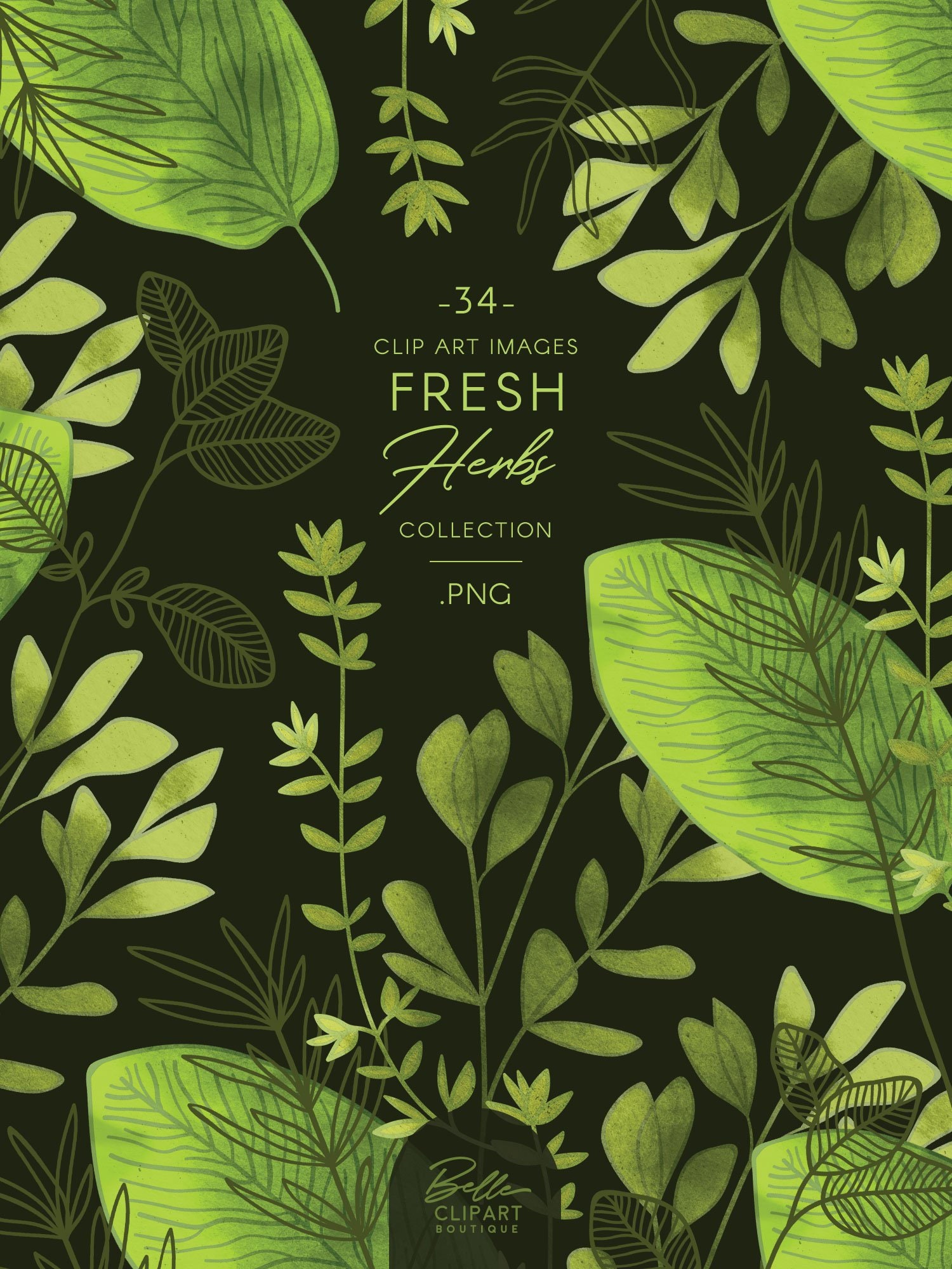 Watercolor Herbs Clipart, Green Line Art & Botanical Illustrations ...