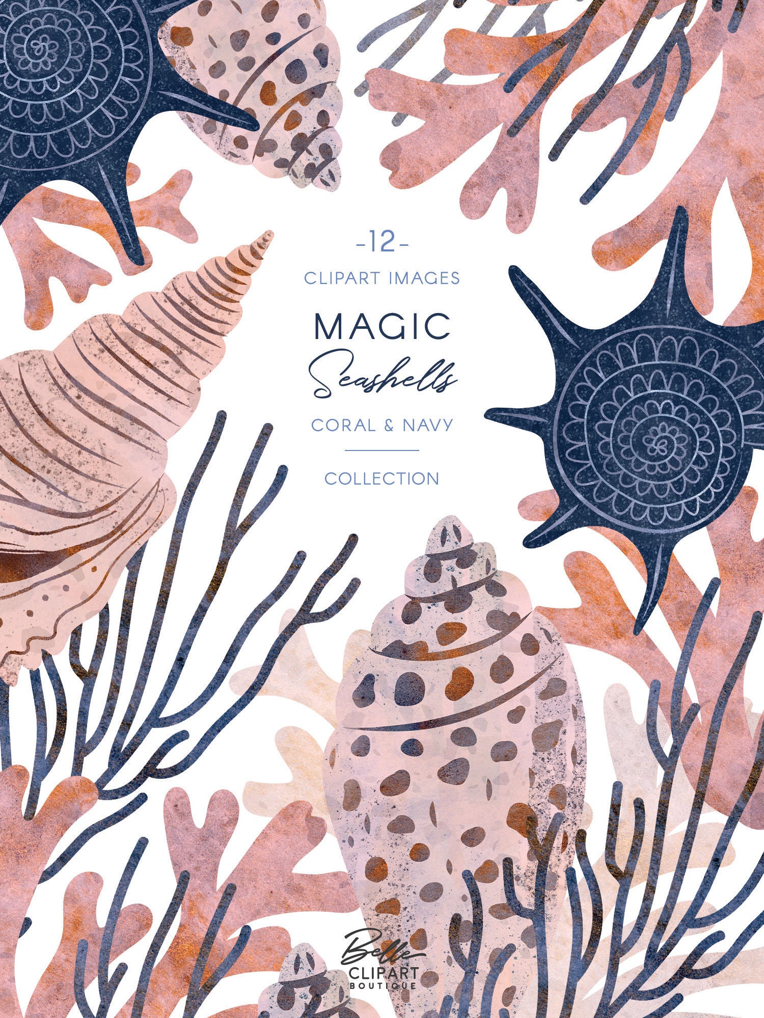 Summer Seashells Clip Art, Coral & Navy Watercolor, Nautical ...