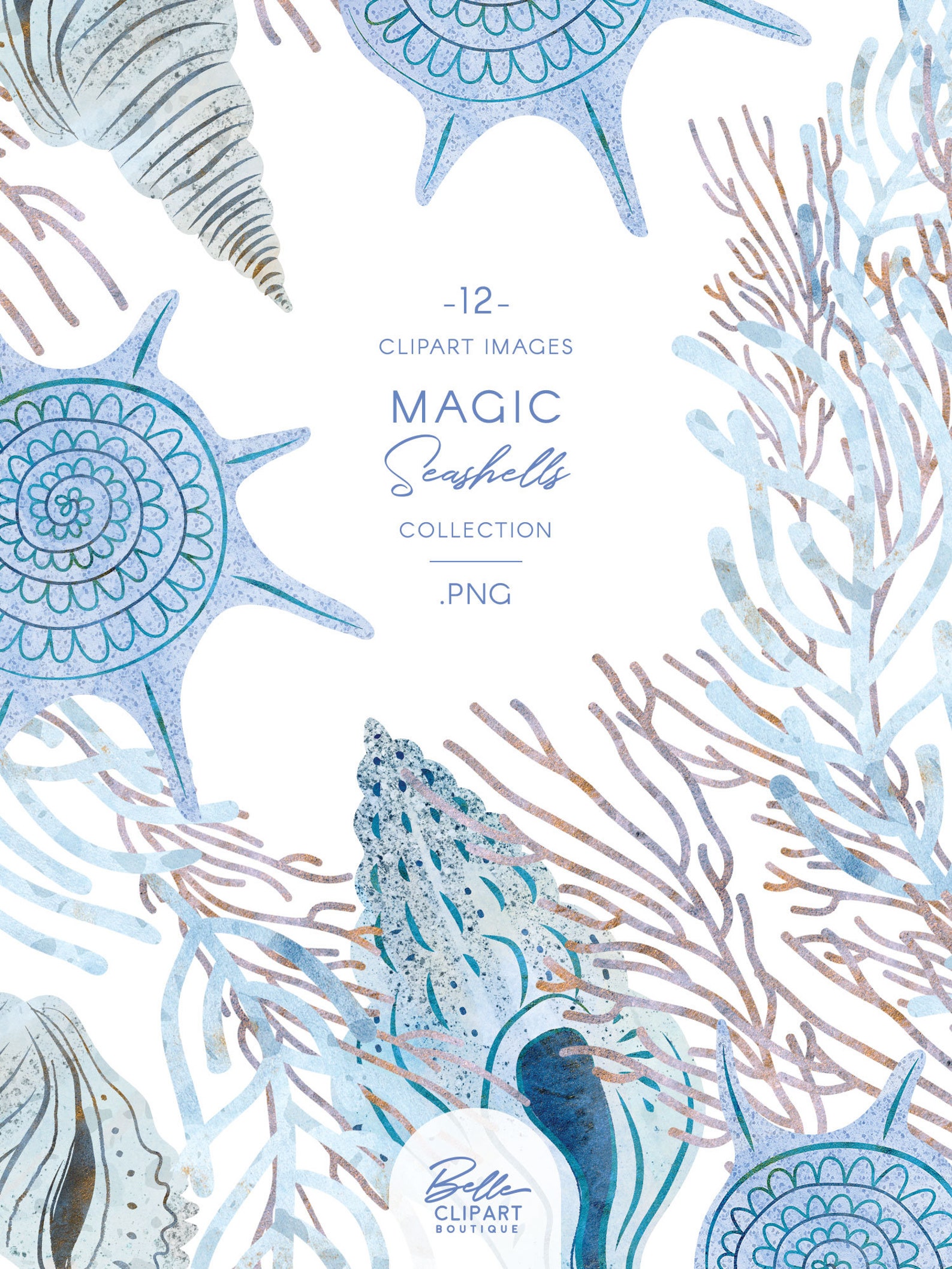 Light Blue Seashells Clip Art, Watercolor Ocean Illustrations, Painted ...