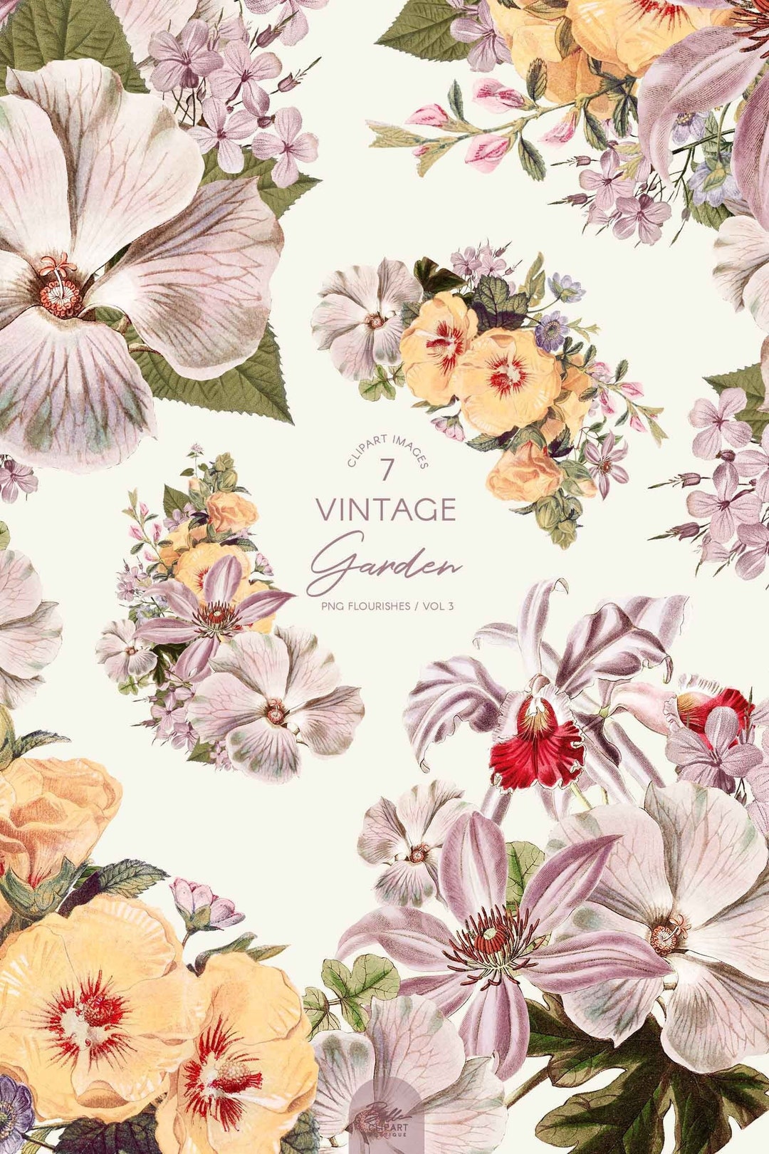 Vintage Pink Flourishes Clipart, PNG Wreaths & Flourishes, Botanical ...