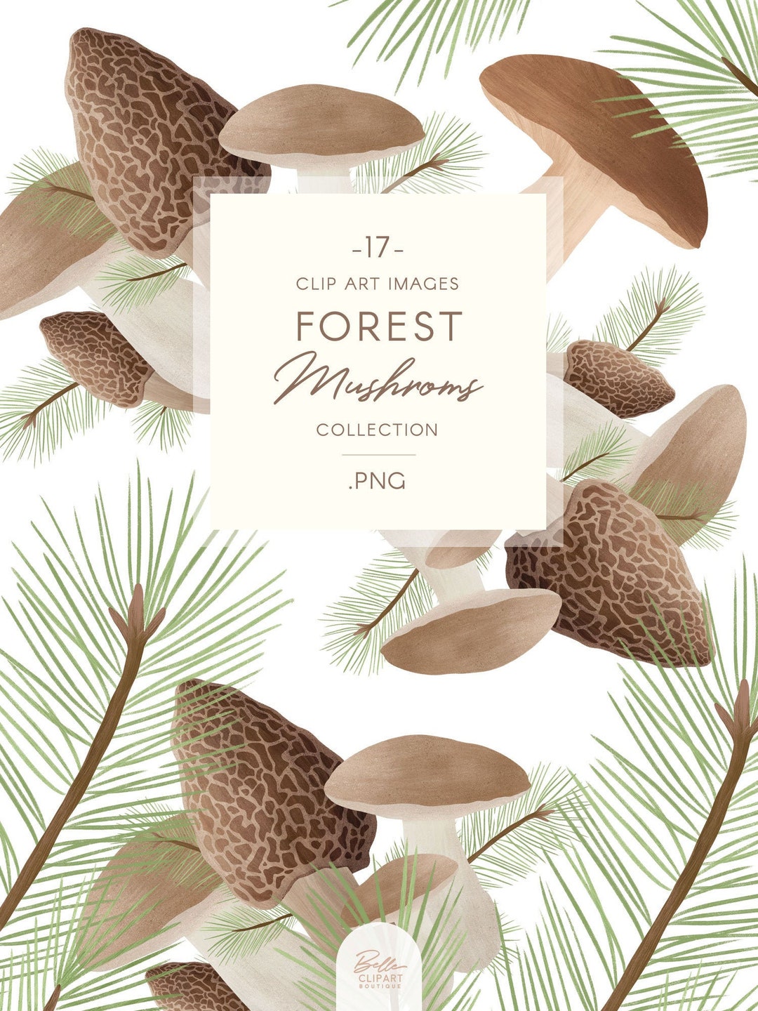 Forest Mushroom Clip Art, Watercolor Fungi PNG, Mushrooms Illustration ...