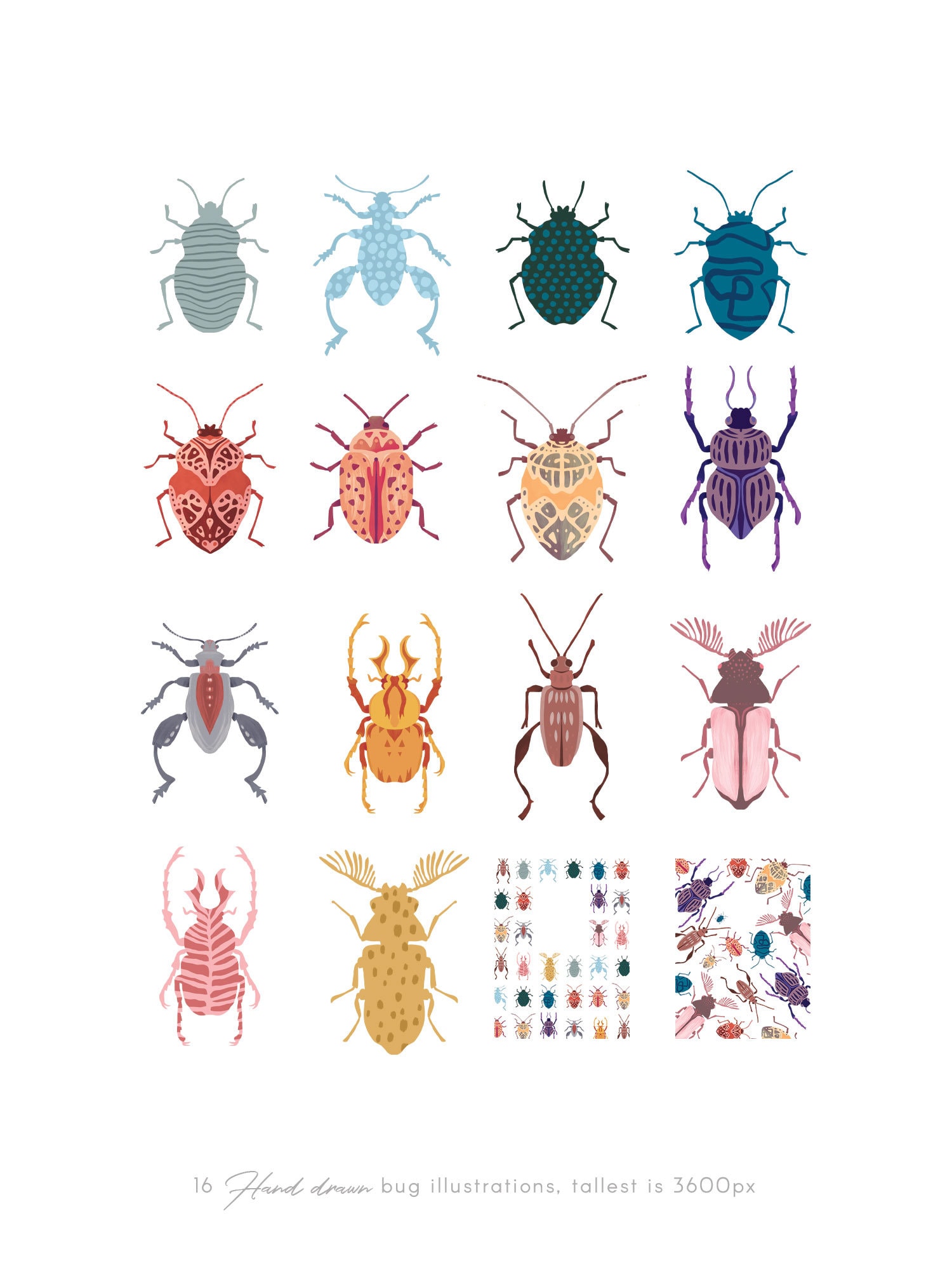 Bugs Clip Art, Insect Illustrations, Colorful Graphics - Etsy
