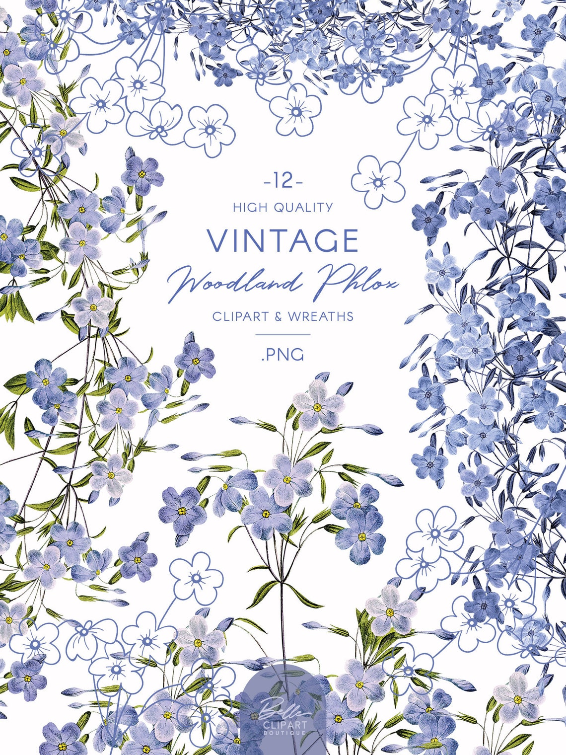 Vintage Blue Flower Clip Art Set Woodland Phlox Florals and - Etsy