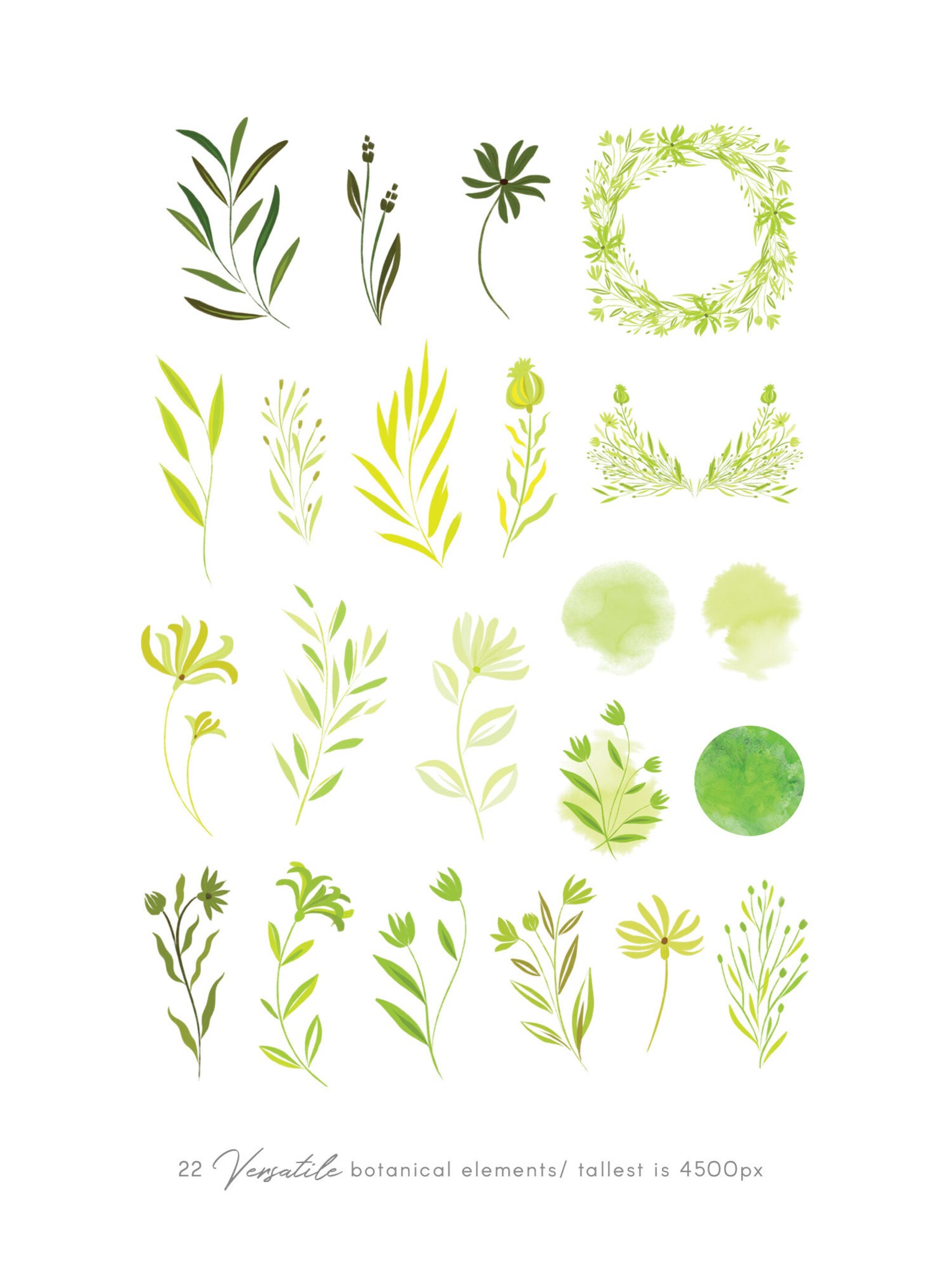 Chartreuse Greenery Clip Art, Neon Green Watercolor Botanical Line Art ...