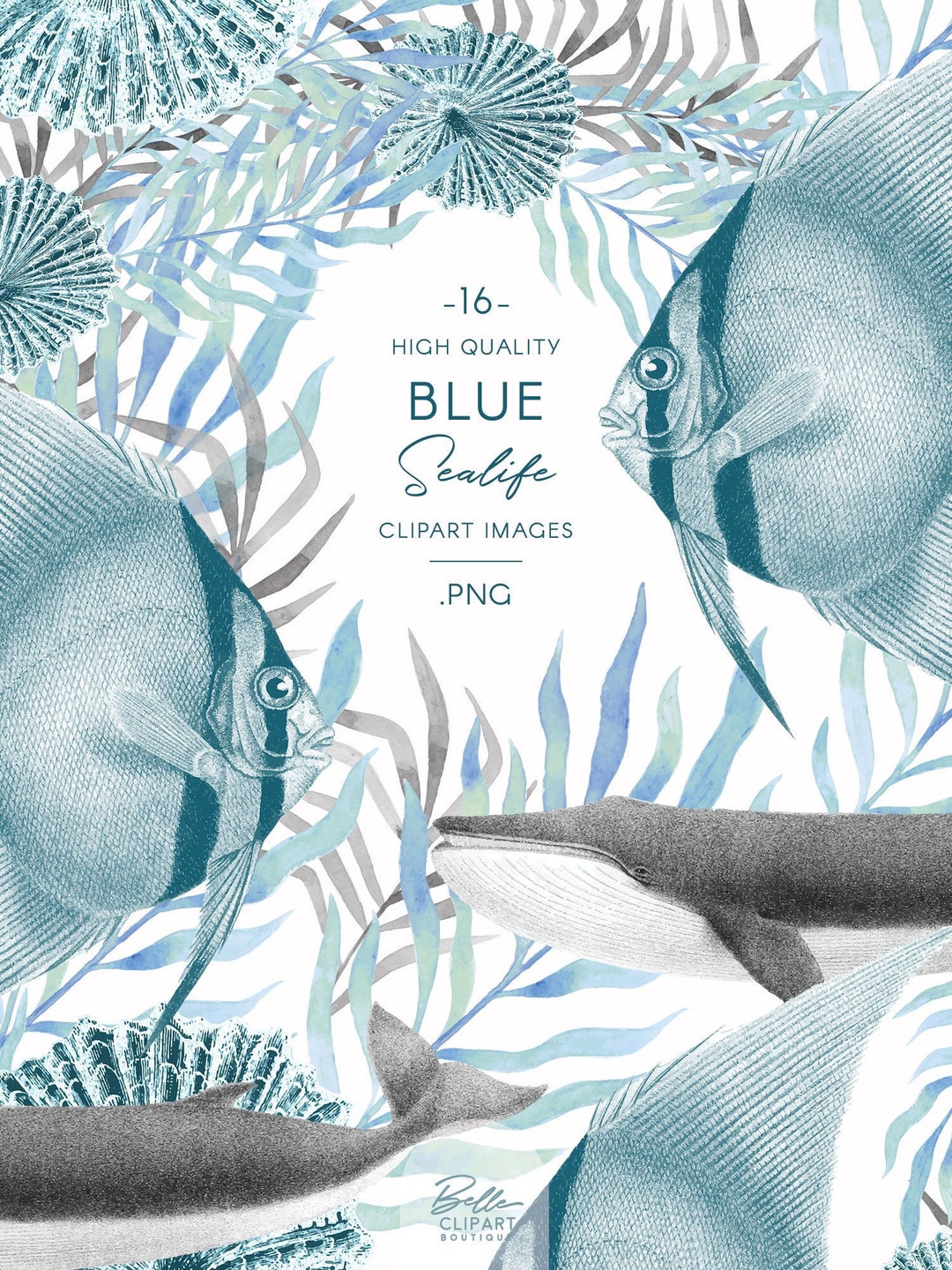 Blue Fish & Sea Life Clip Art Set, Vintage Marine Illustrations ...