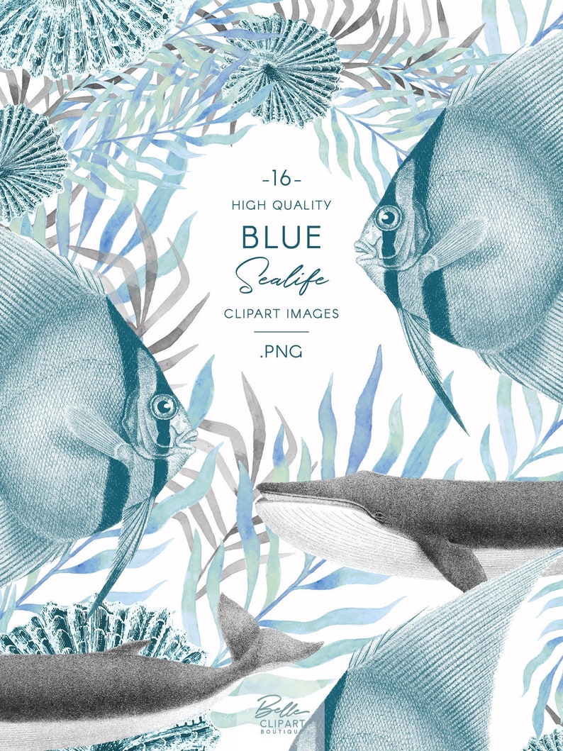 Blue Fish & Sea Life Clip Art Set, Vintage Marine Illustrations ...