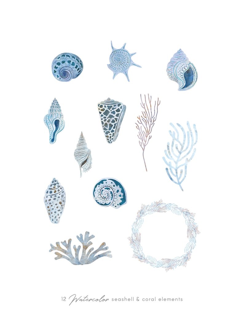 Watercolor Seashell Clipart: Blue Ocean Illustrations (digital Download ...