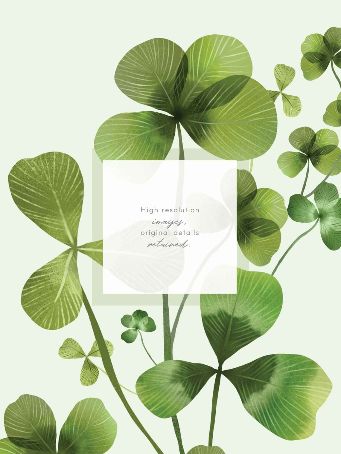 Watercolor Clover Wreaths & Frames Clip Art Png Shamrock - Etsy