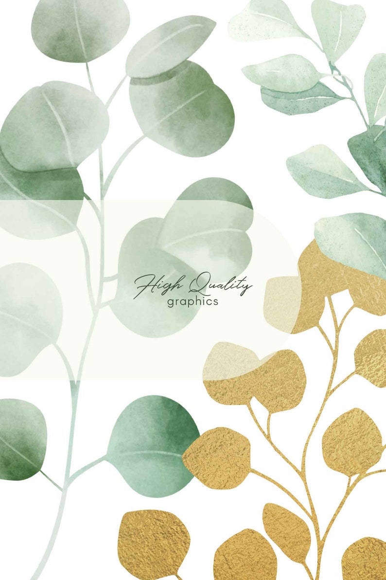 Watercolor Eucalyptus Greenery PNG Clip Art, Painted Botanical ...