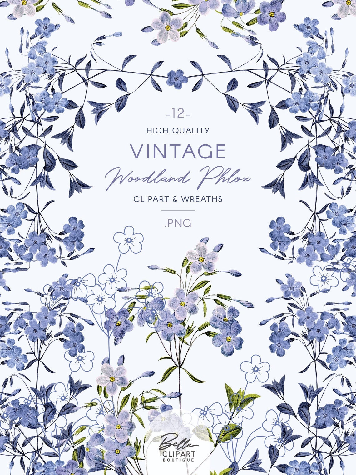 Vintage Blue Flower Clip Art Set, Woodland Phlox Florals and Line Art ...