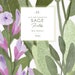 Sage Flowers & Foliage Clip Art, PNG Botanical Gouache Illustrations - Etsy